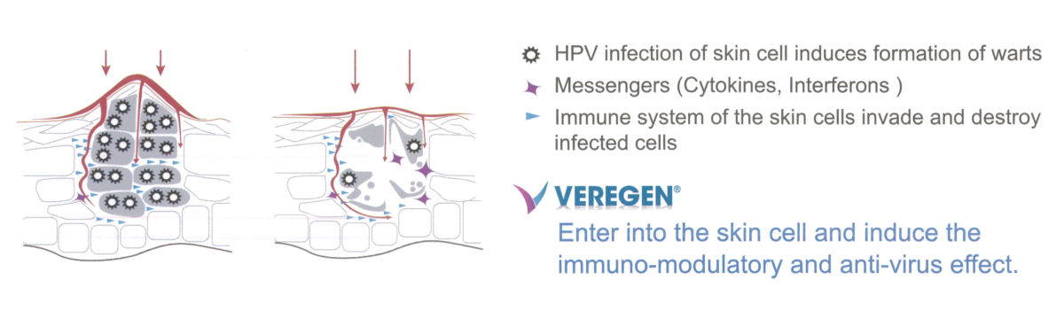 SB03 – 杏國新藥股份有限公司